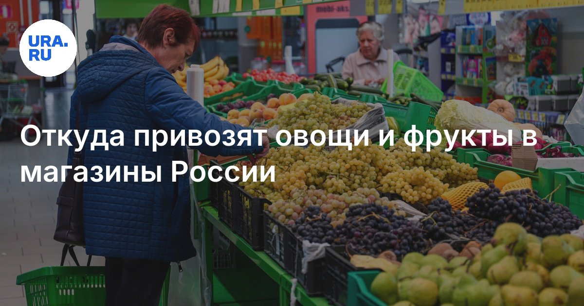 Откуда привозят овощи и фрукты в магазины России