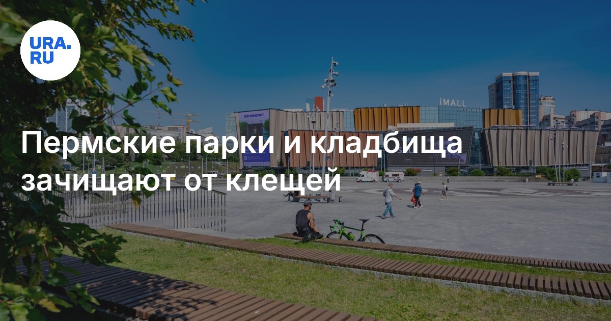 Где в Перми обработали от клещей в 2025 году: список объектов