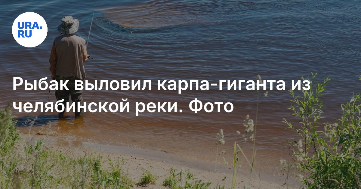Рыбак выловил карпа-гиганта из челябинской реки: фото
