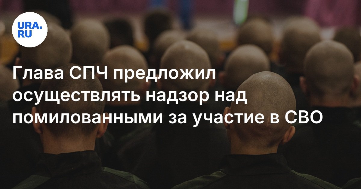 Помилование из за службы в зоне СВО Фадеев предложил осуществлять