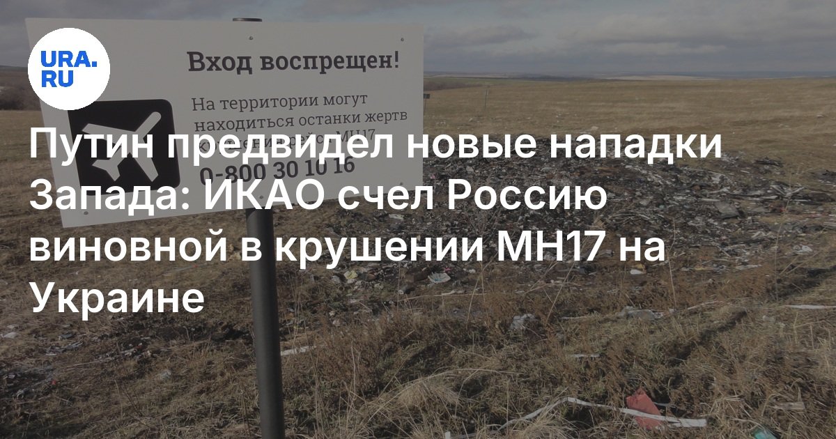 ИКАО обвинил РФ в катастрофе Boeing MH17: что это значит для России