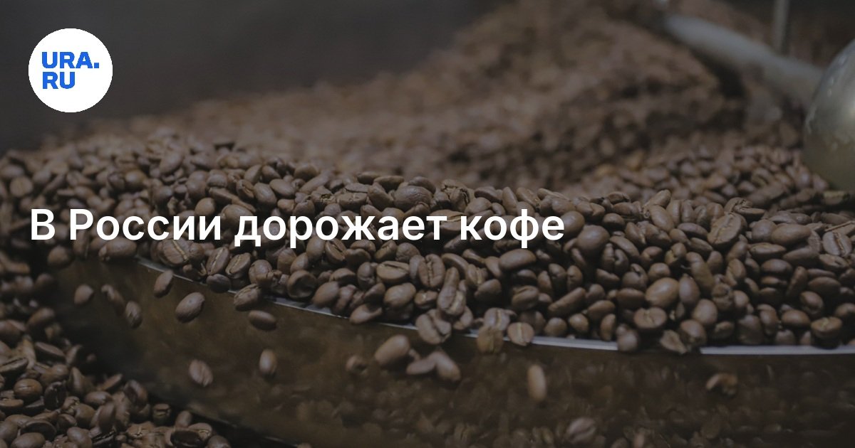 Цены на кофе: в России дорожает арабика и робуста из-за поставок ...