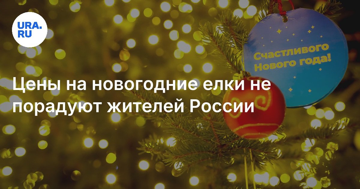 Цены на новогодние елки не порадуют жителей России, считают эксперты по ...