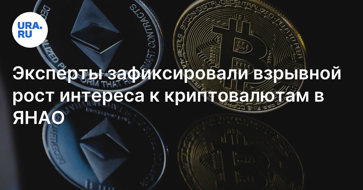 Активность жителей ЯНАО на криптобиржах одна из самых высоких в РФ ...