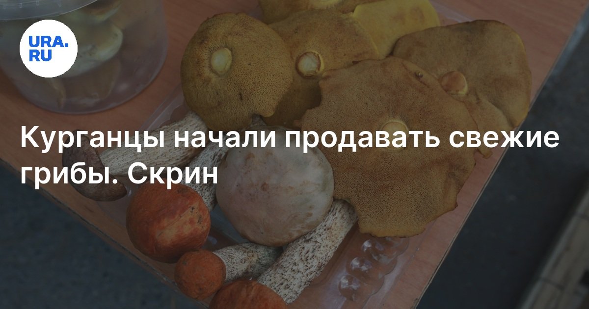 Продажа грибов в Курганской области: скрин