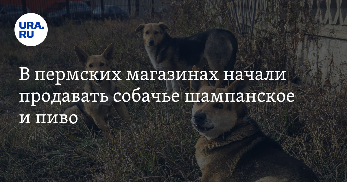 В пермских магазинах начали продавать собачье шампанское и пиво
