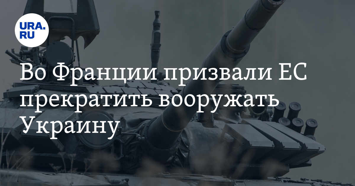Во Франции призвали ЕС прекратить вооружать Украину «Нас втягивают в чужую войну