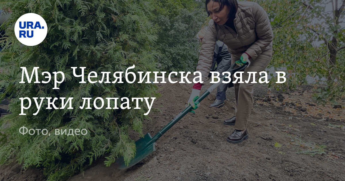 Мэр Челябинска проведет озеленение города: какие саженцы и где будут ...