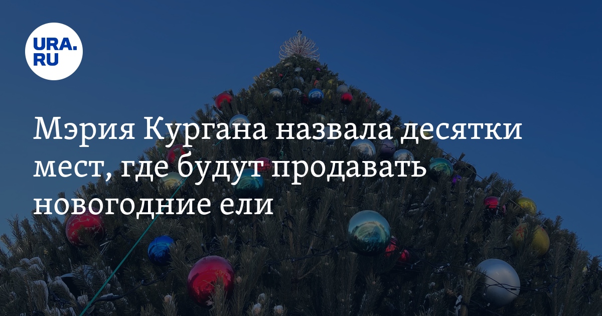 Где купить елку на Новый год в Кургане: адреса, елочный базар