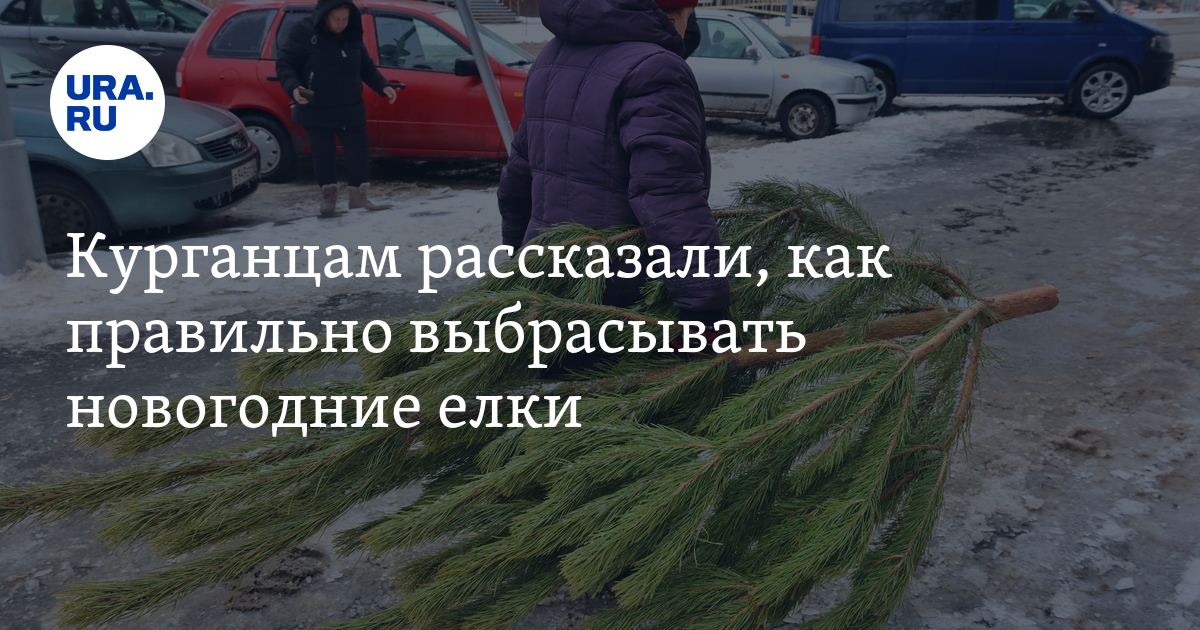 Курганцам рассказали, как правильно утилизировать новогодние елки