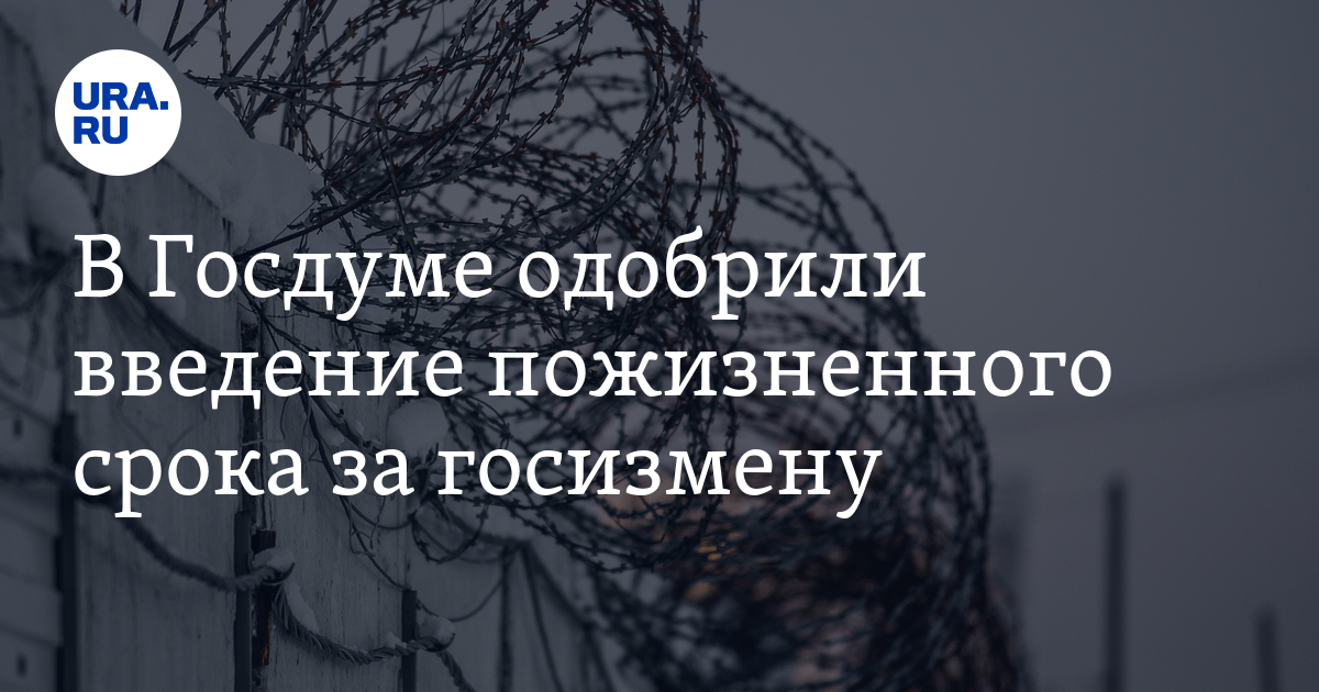 В Госдуме одобрили введение пожизненного срока за госизмену
