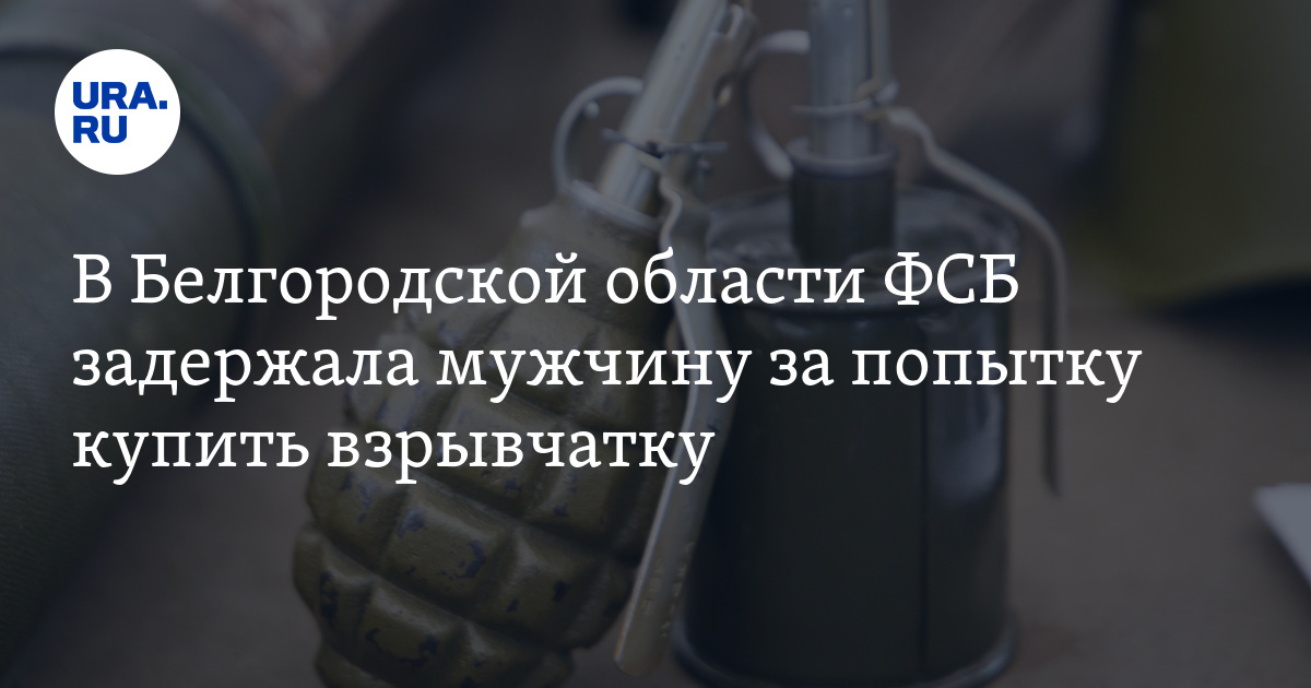 В Белгородской области ФСБ задержала мужчину за попытку купить ...