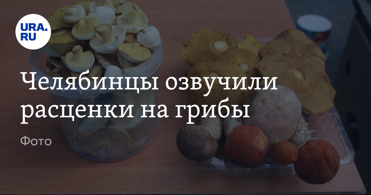 Сколько стоят грибы в Челябинске: стоимость килограмма белых грибов ...