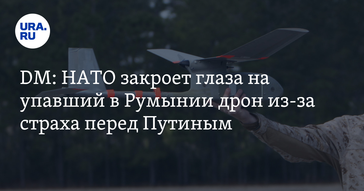 DM: НАТО закроет глаза на упавший в Румынии дрон из-за страха перед Путиным