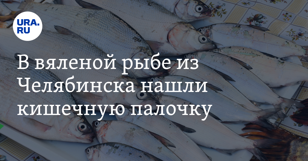 В вяленой рыбе из Челябинска нашли кишечную палочку: управление ...