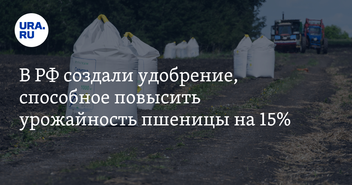В РФ создали удобрение, способное повысить урожайность пшеницы на 15%