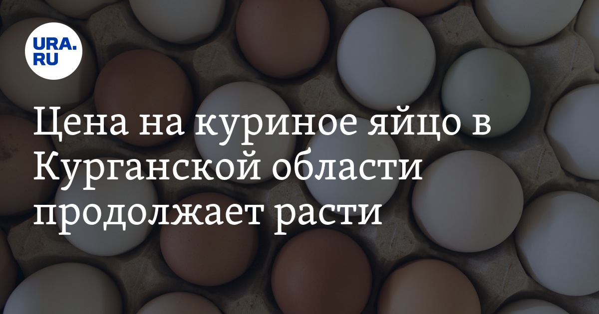 Сколько стоит куриное яйцо в Кургане: средние цены и подорожание продуктов