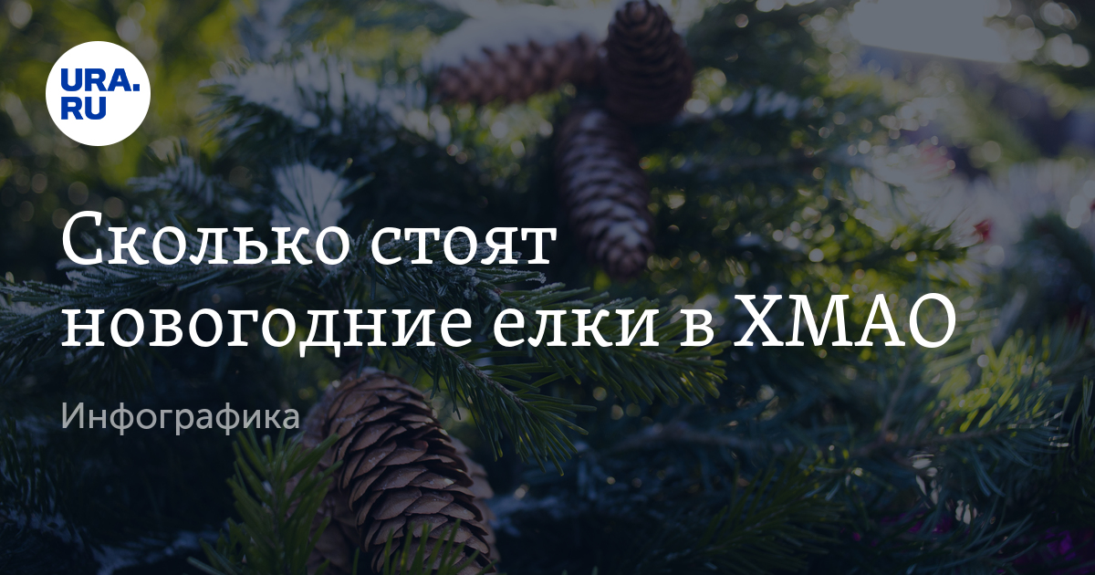 Сколько стоят новогодние елки в ХМАО: инфографика