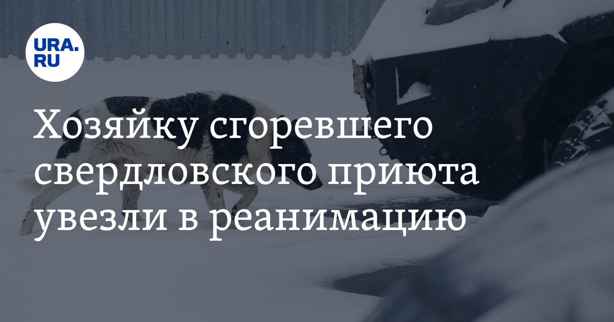 В Екатеринбурге сгорел приют для собак: хозяйку увезли в реанимацию