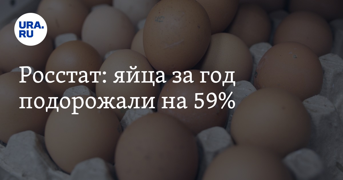 Насколько подорожали куриные яйца в России
