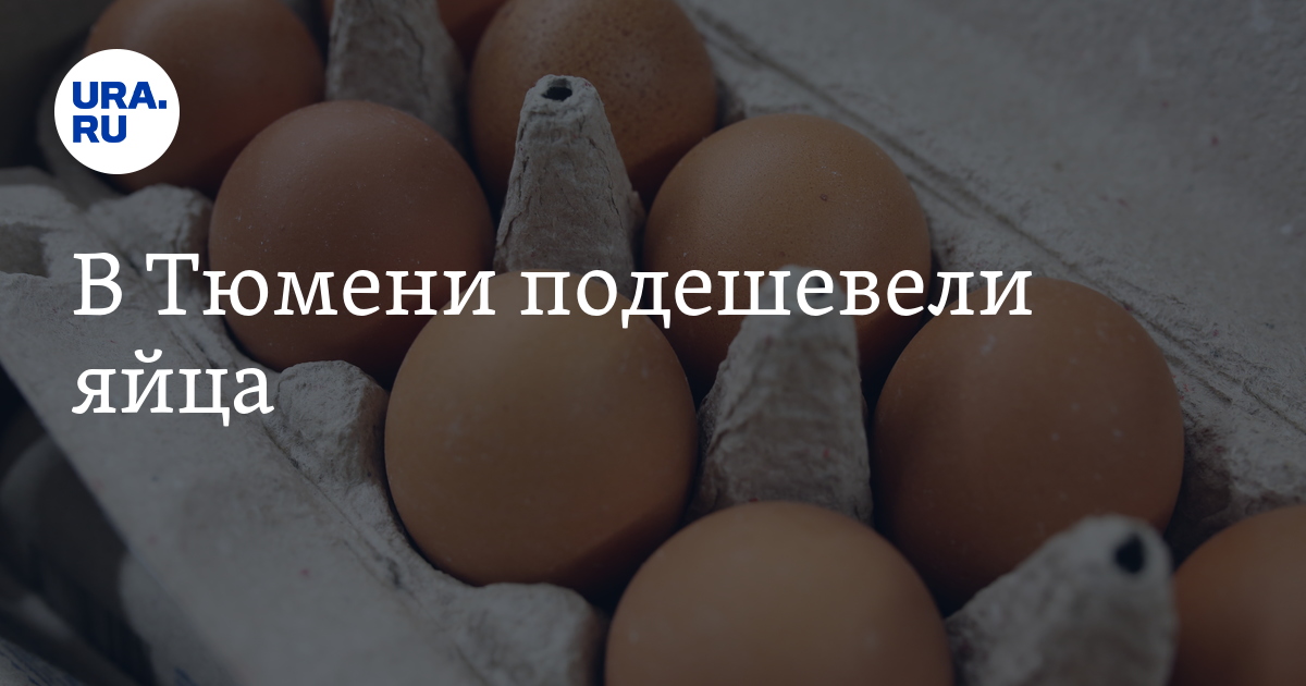 Сколько стоят куриные яйца в Тюмени: где купить самые дешевые