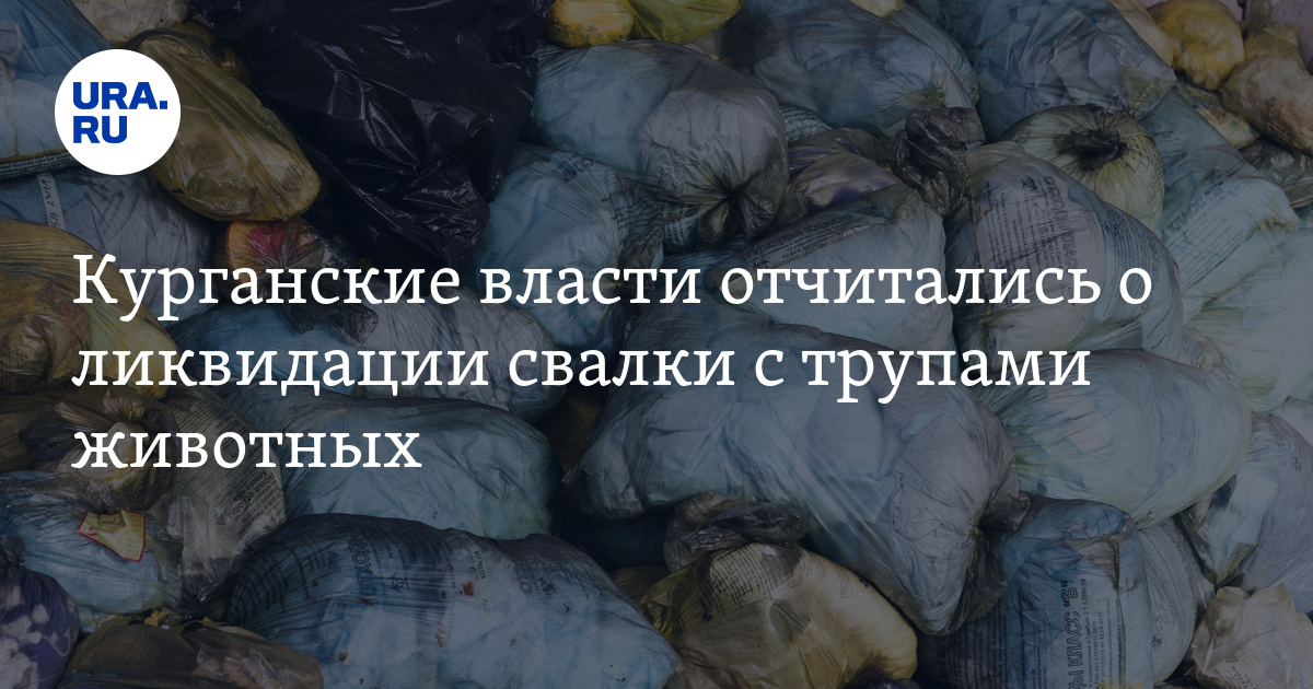Скандальная свалка с трупами животных «Экоцентр ликвидируют