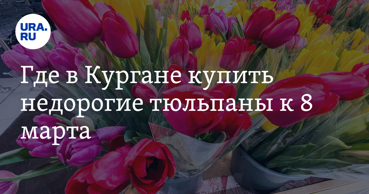 Где в Кургане купить недорогие тюльпаны к 8 марта