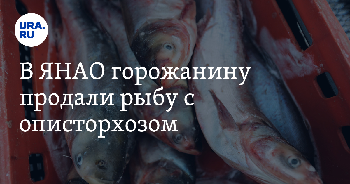 В Ноябрьске в магазинах продают рыбу с глистами: фото