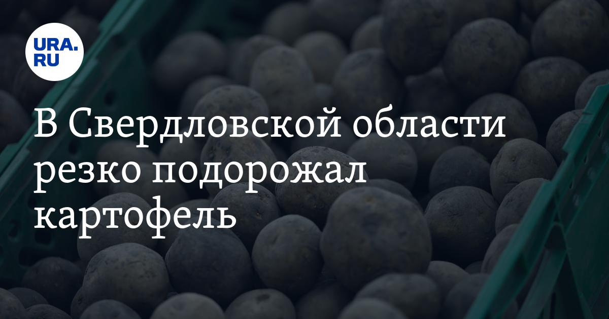В Свердловской области цена на картофель поднялась с 26 до 48 рублей за ...