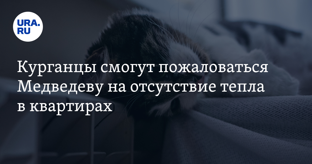 Горячая линия по отоплению в Кургане: когда и где можно позвонить, телефон