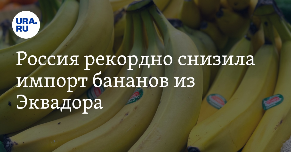 Россия рекордно снизила импорт бананов из Эквадора: сколько составил